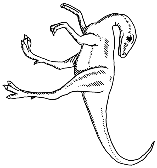 Compsognathus Coloring Page Coloring Pages