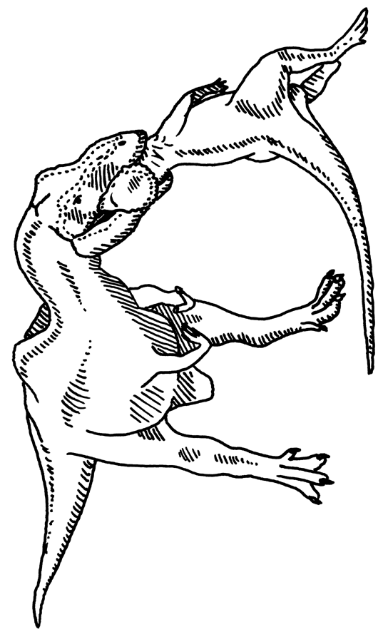 Dinosaurier-Interesse - DRYPTOSAURUS