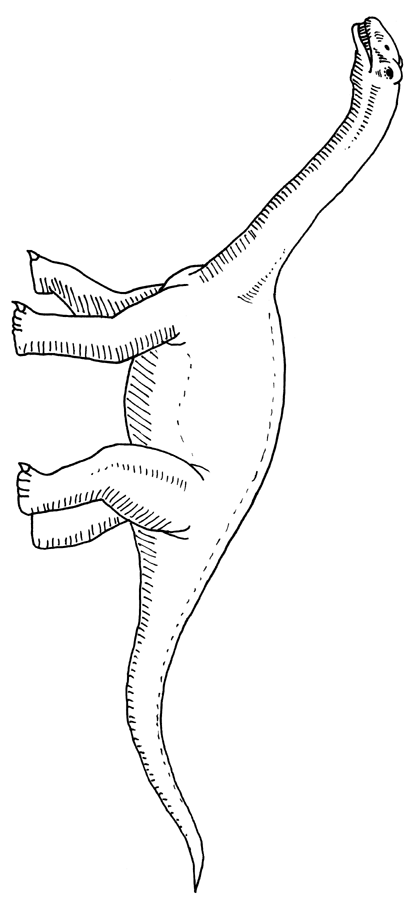 Dinosaurier-Interesse - PARALITITAN
