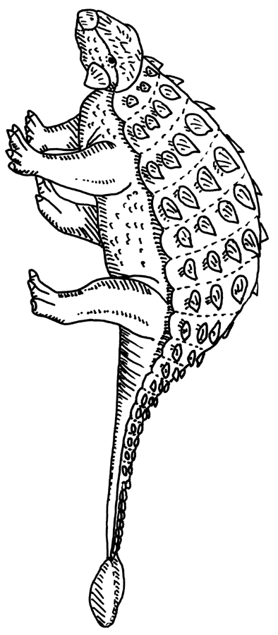 Dinosaurier-Interesse - PINACOSAURUS