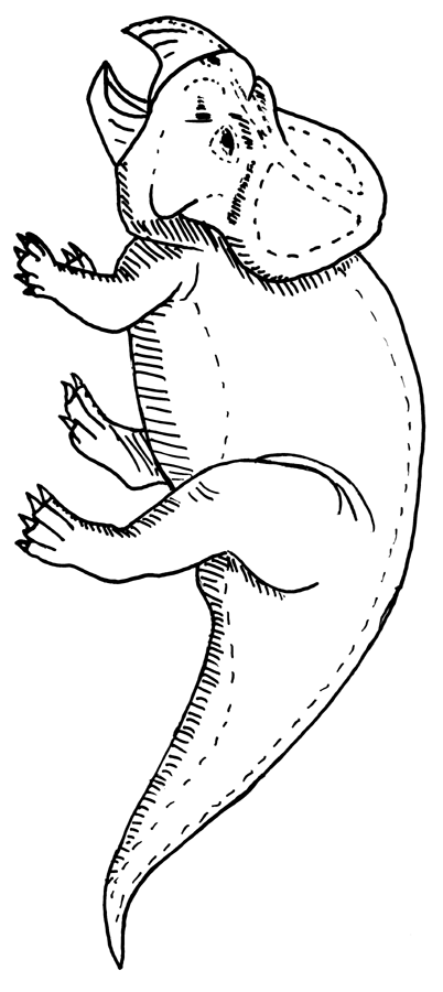 Protoceratops Kolorowanki Ausmalbilder Dinosaurier Dinozaury Coloriage ...